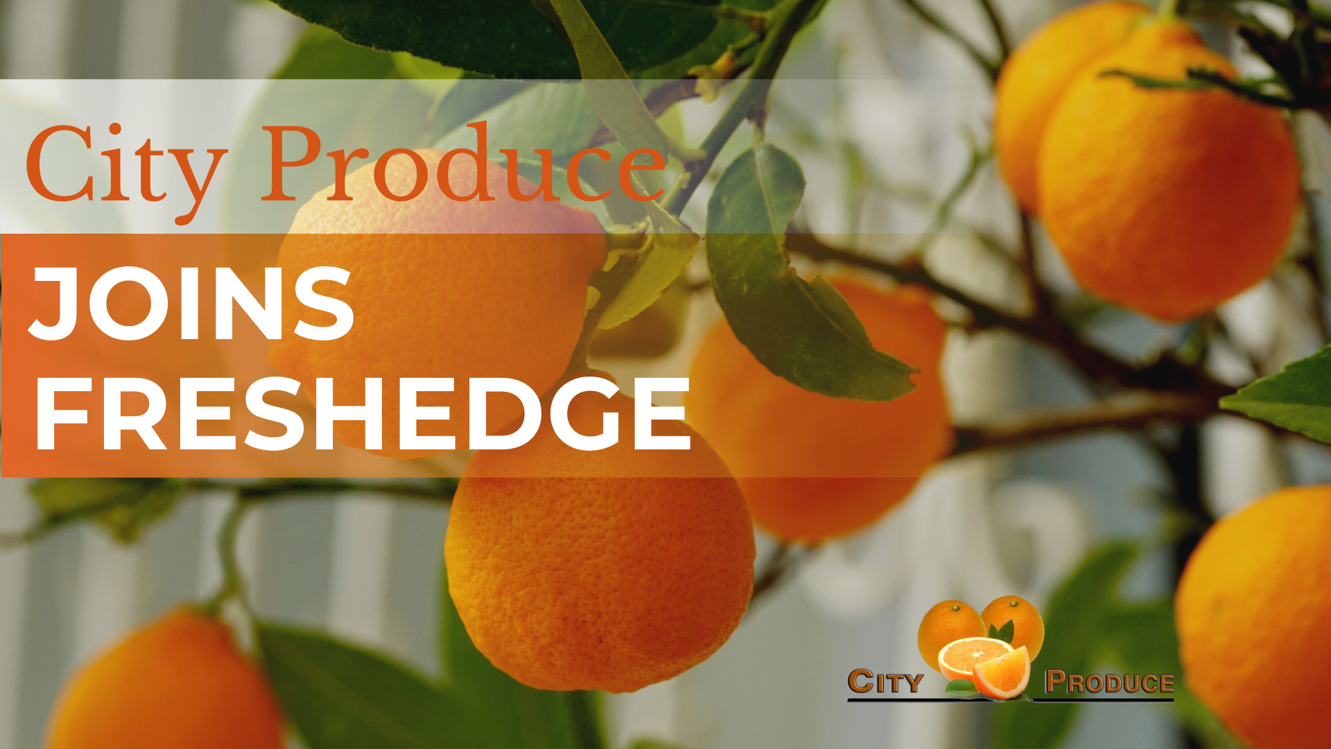 City Produce Joins FreshEdge - FreshEdge